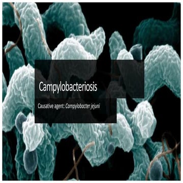 Campylobacteriosis | PPSX