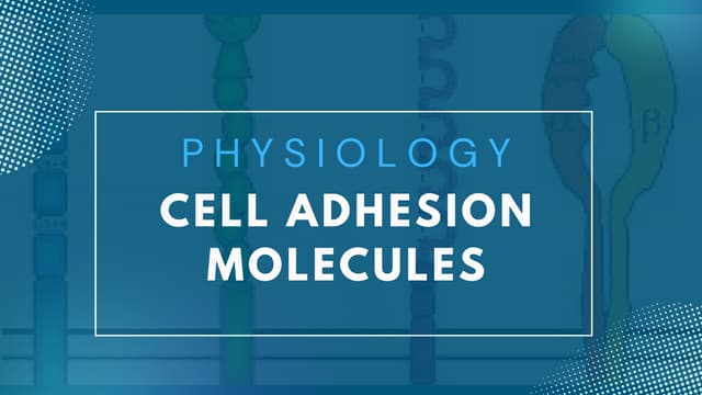 cell adhesion molecules | PPTX