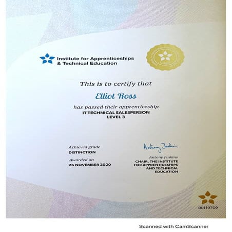 IT Technical Salesperson Level 3 | PDF | Apprenticeships | Careers