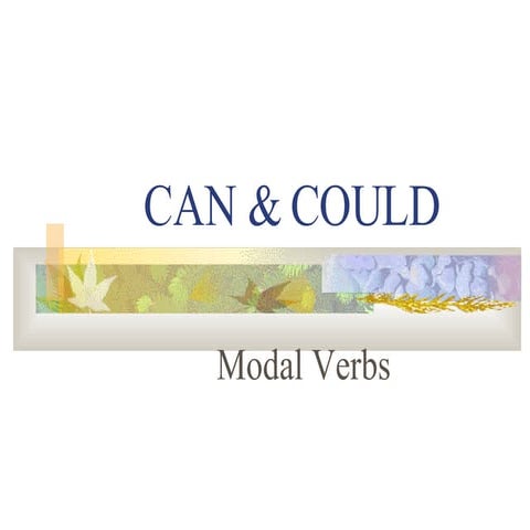 Can And Could | PPT