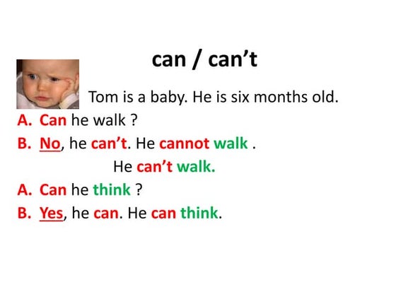 Can - Can't | PPT