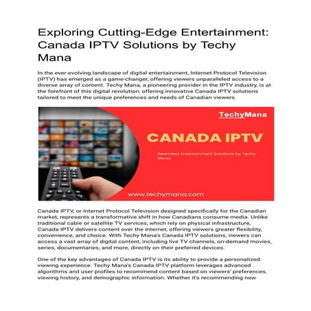 Seamless Entertainment Solutions by Techy Mana | PDF