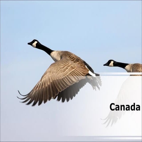 Canada Powerpoint Country | PPT