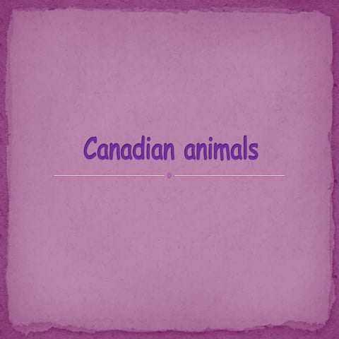 Canadian Animals | PPT