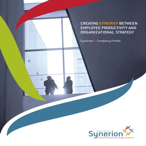 Synerion Company Profile | PDF