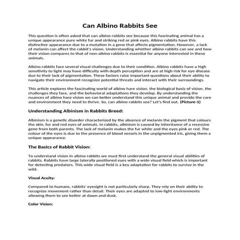 Can Albino Rabbits See: Basics of Rabbit Vision | PDF