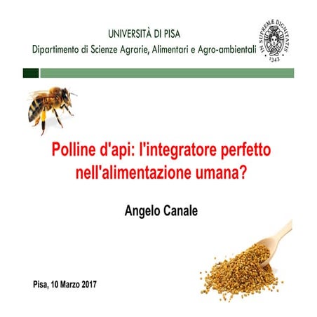 A. Canale - POLLINE D'API, L'INTEGRATORE PERFETTO NELL'ALIMENTAZIONE ...