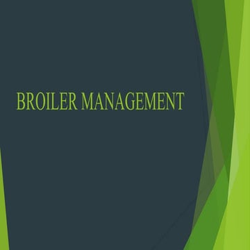 Broiler production | PPTX
