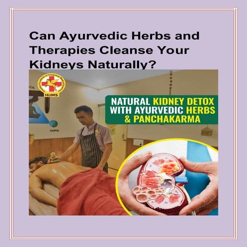 Can Ayurvedic Herbs and Therapies Cleanse Your Kidneys Naturally.ppt