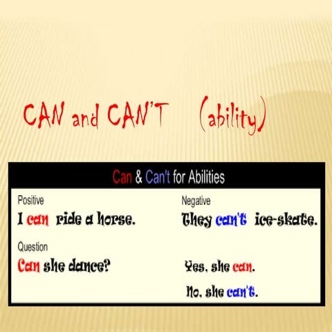Can can't | PPT
