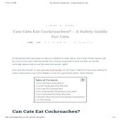 Can cats eat cockroaches - A safety guide for cats | PDF
