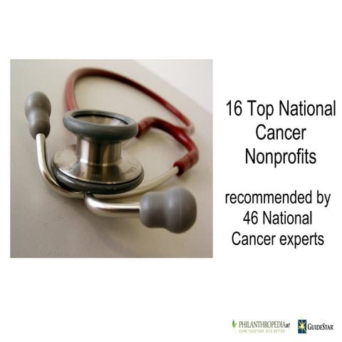 High-Impact Nonprofits Working with People with Disabilities | PPT