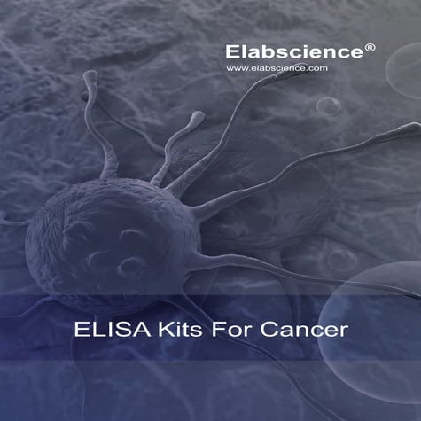 44-150724PST_Peptalk_2013_AlphaLISA_immunoassays | PDF