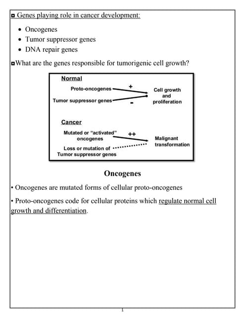 Oncogenes | PPTX | Cancer | Diseases and Conditions