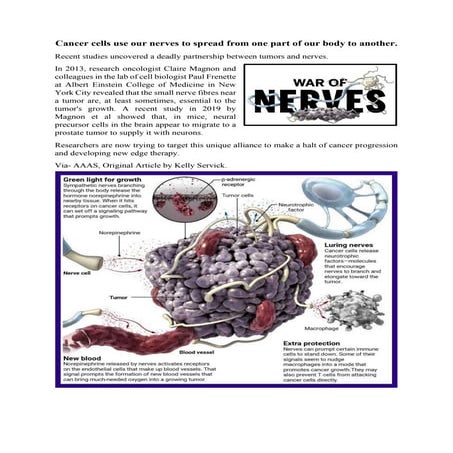 Cancer cells use our nerves to spread from one part of our body to ...