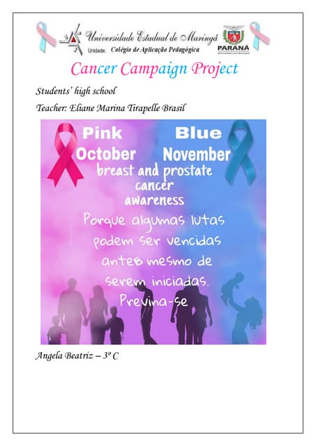 Cancer Campaign - Ryan Moreira Quirino - 2º B | PPT