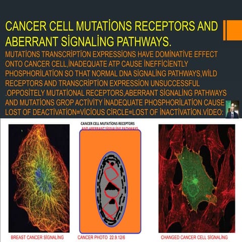 Cancer cell mutati̇ons receptors and aberrant si̇gnali̇ng pathways ...