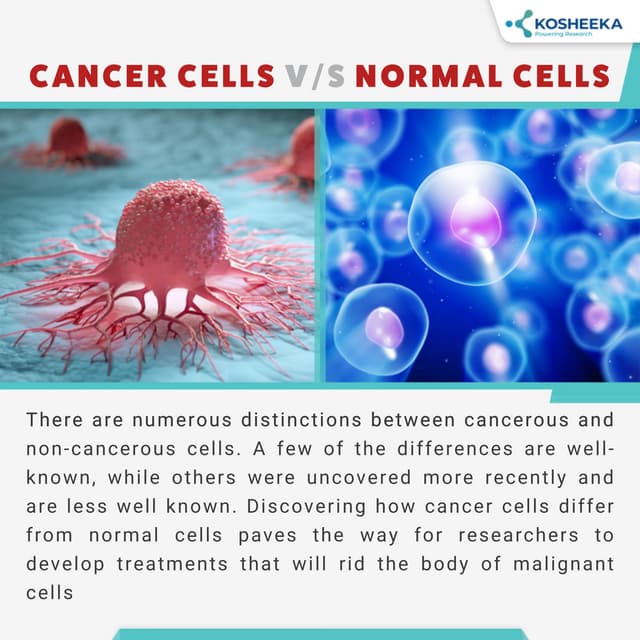 Difference Between Cancer Cells And Normal Cells