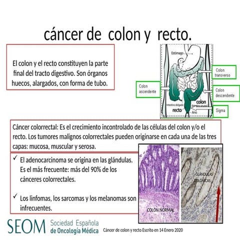CÁNCER DE COLON Y RECTO digestivoCIRUGIA.pptx