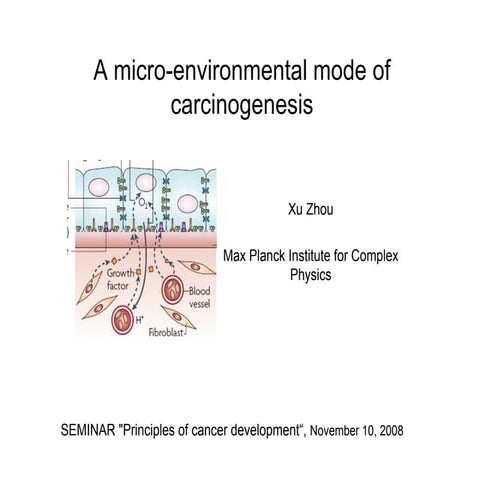 Math Model for Cancer Micro Env Model | PPT