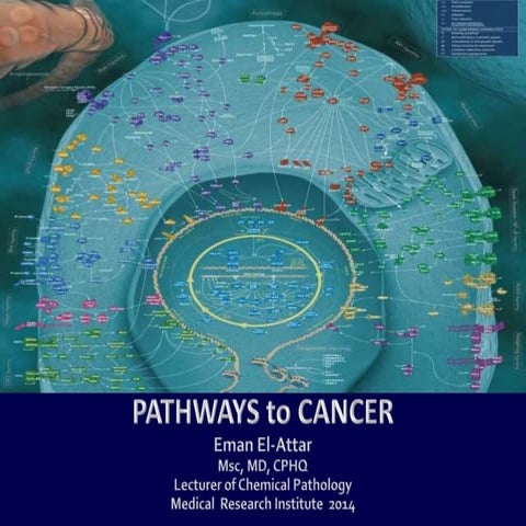 Cancer Pathways | PPTX