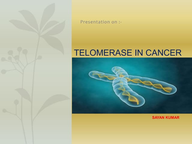 Telomerase its role in aging and cancer | PPT