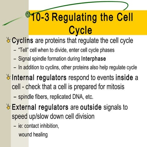 cell cycle and its application in tissue engineering | PPT