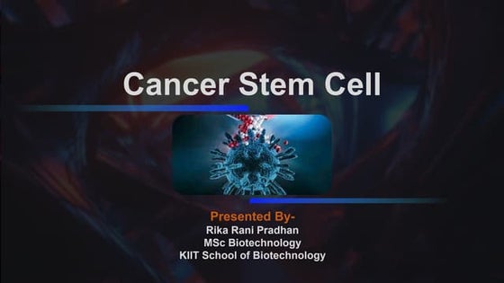 CANCER STEM CELLS | PPT