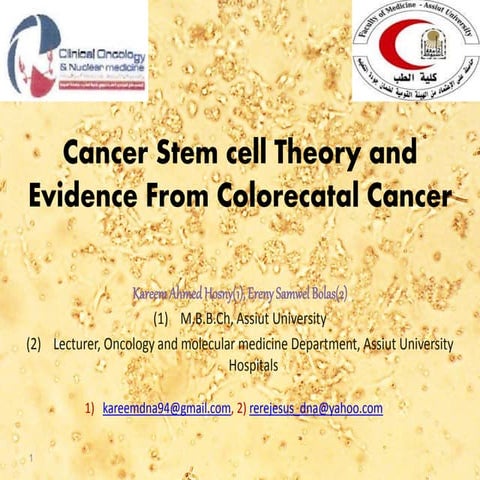 Cancer stem cell theory and evidence from colorecatal | PPT
