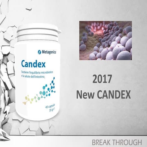 Candex 2017 it | PPT