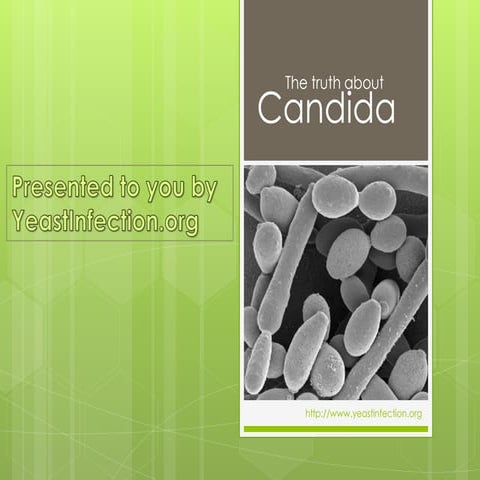 Truth About Candida | PPTX | Nutrition | Healthy Living