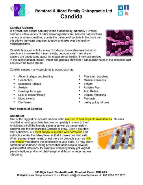How to maintain your digestive system! | KEY
