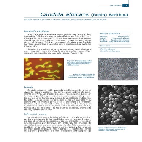 Candida albicans | PDF