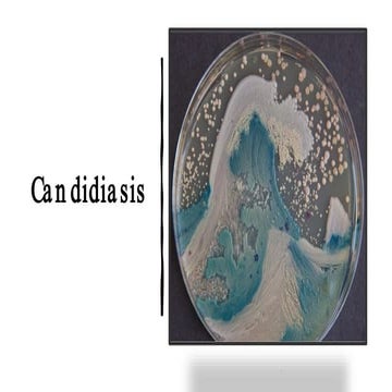 Candidiasis en animales | PDF