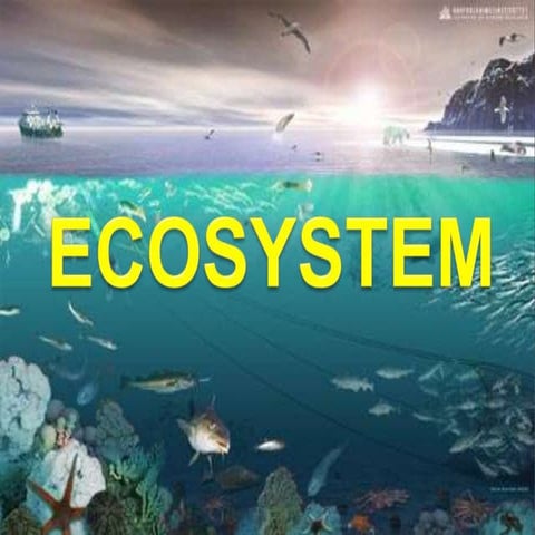 Ecosystem | PPTX