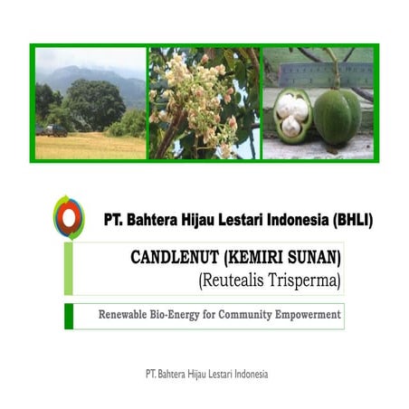 Candlenut (ver 2.2e) | PDF