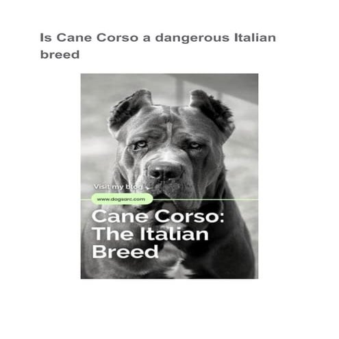 CAne Corso.pdf