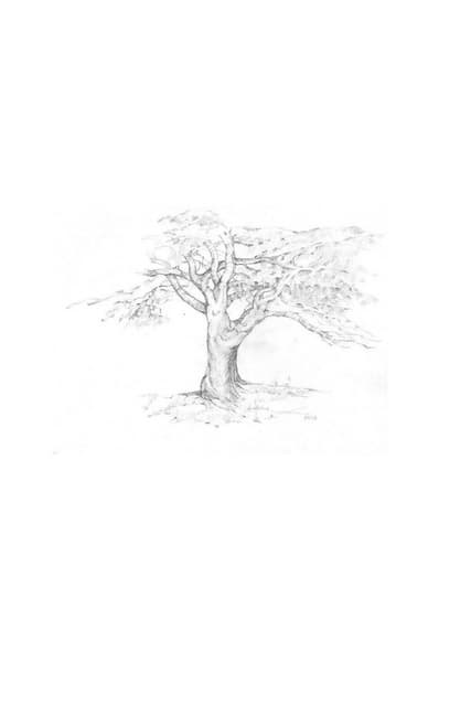 Values Assembly - Empathy | PPTX