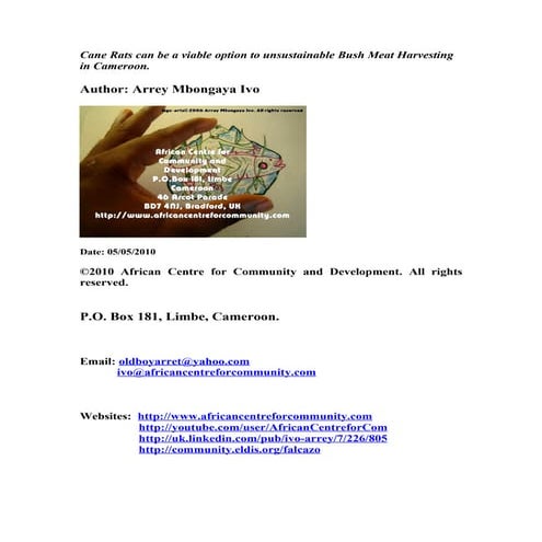 Cane rats can be a viable option to unsustainable bush meat harvesting ...