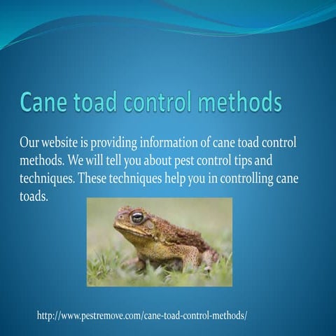 Cane toad control methods | PPTX