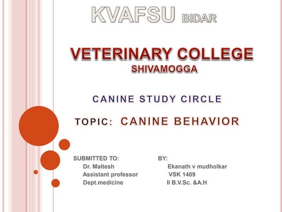 Devocalization | PDF