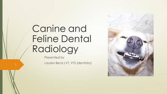 radiology-bitewing-technique | PDF | Dental Health | Diseases and ...