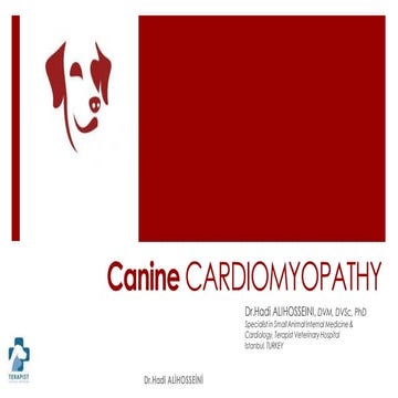 Canine Cardiomyopathy | PDF