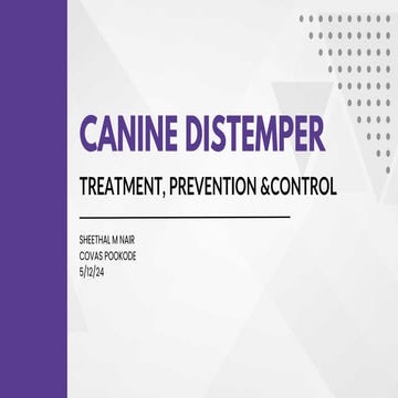 Canine distemper- treatment, prevention & control veterinary preventive ...