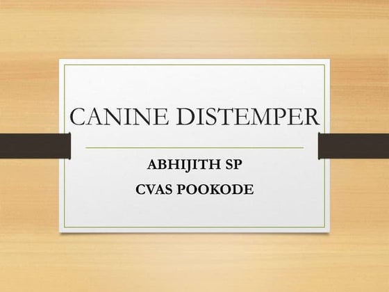 Clinical examination of animals | PDF