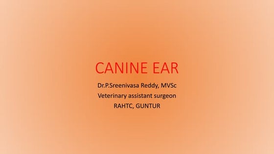 Devocalization | PDF