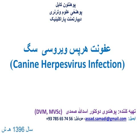 Canine herpesvirus infection | PPT