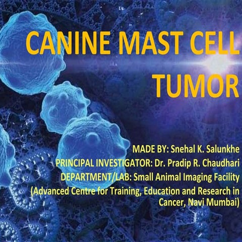 Canine Mast Cell Tumor | PPTX