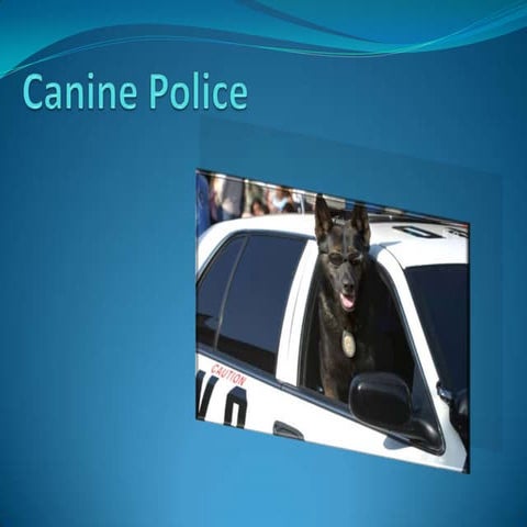Canine Police Outline | PPTX