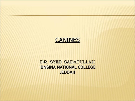 PERMANENT MAXILLARY CANINE | PPT